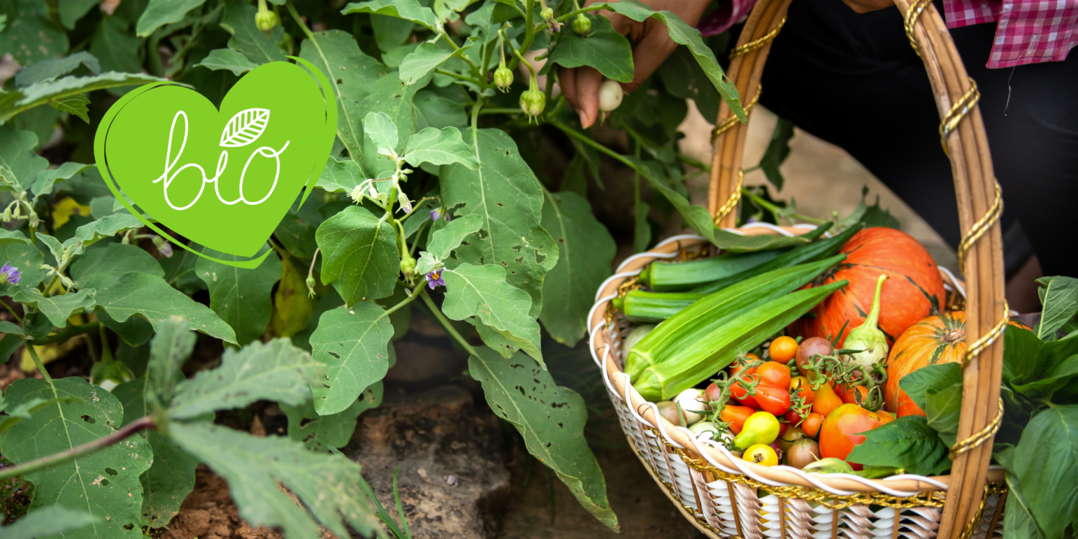 Bio – gibt es jetzt ganz nah! Neue Karte Bio Bei Dir erleichtert die ...